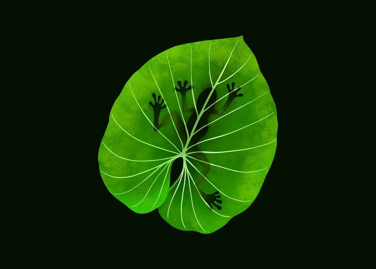 'Tropical Frog on a Leaf' Poster by Constance Wilds | Displate