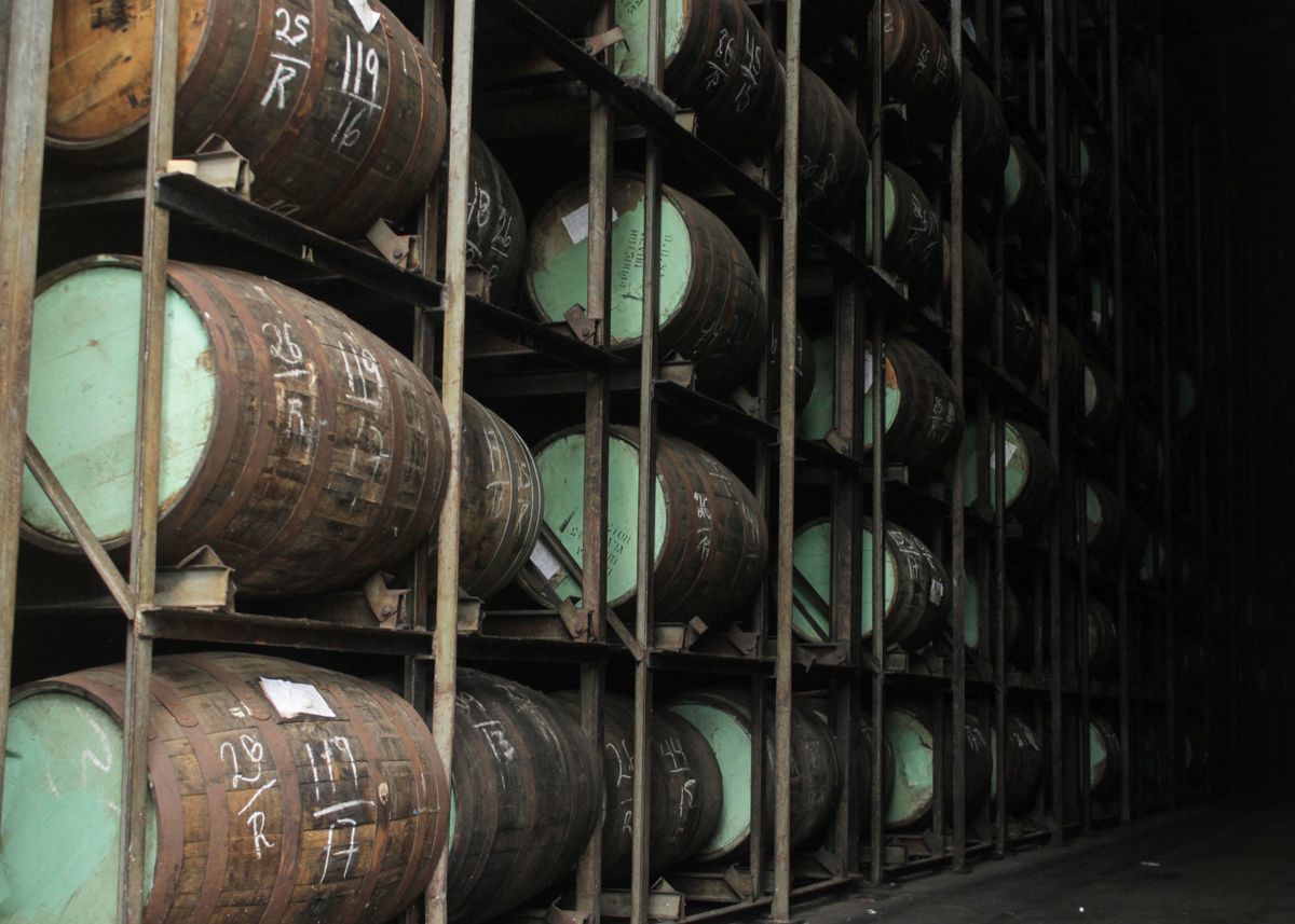 'How to Make Rum' Poster by Annabelle Aviles | Displate