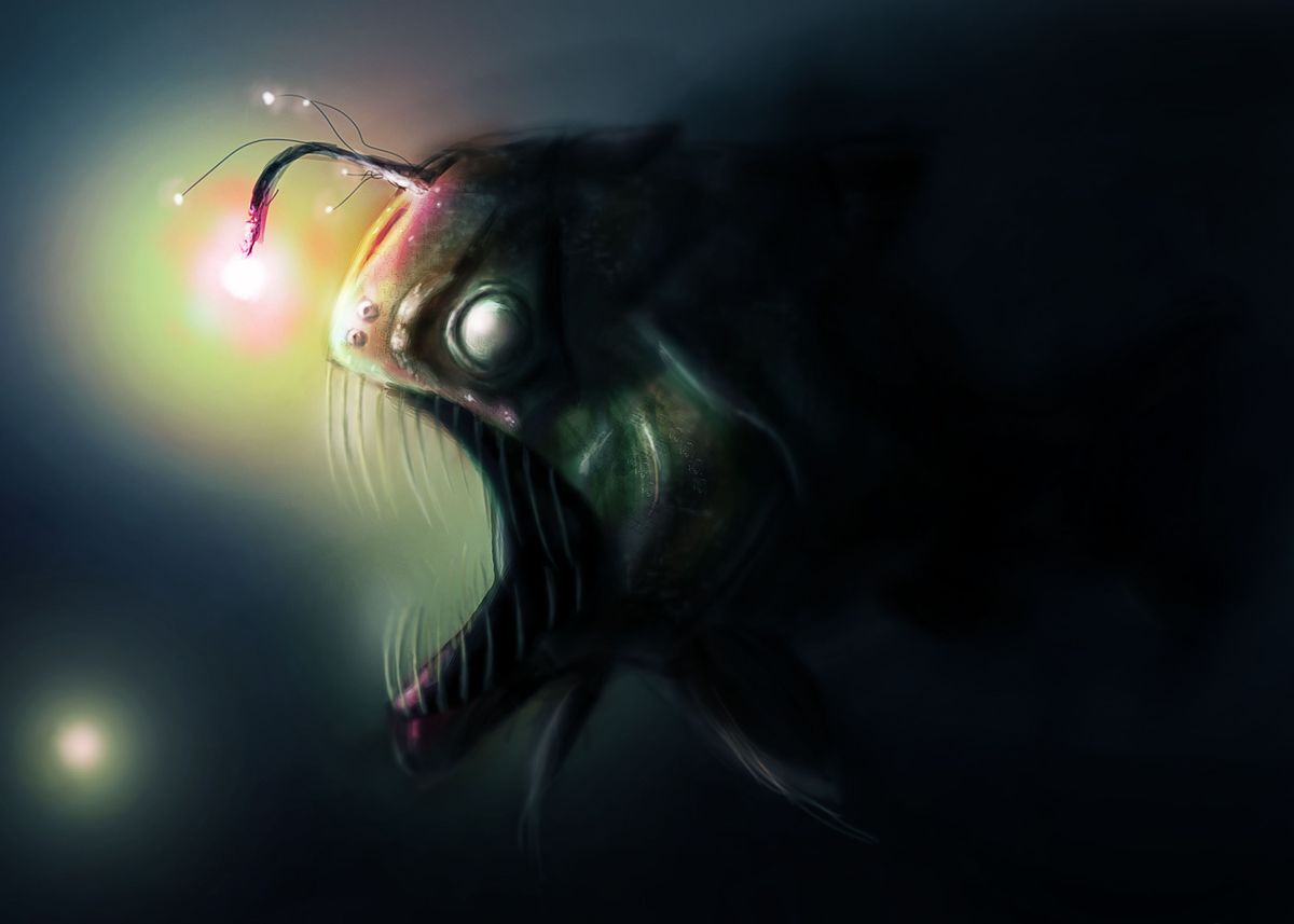 'Anglerfish' Poster, picture, metal print, paint by Siva 2D | Displate