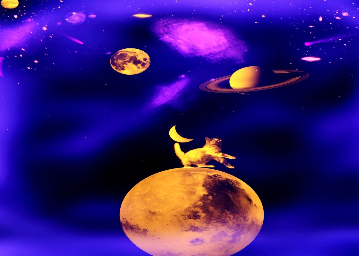 'Galactic Cat' Poster, picture, metal print, paint by Ani Plankova ...