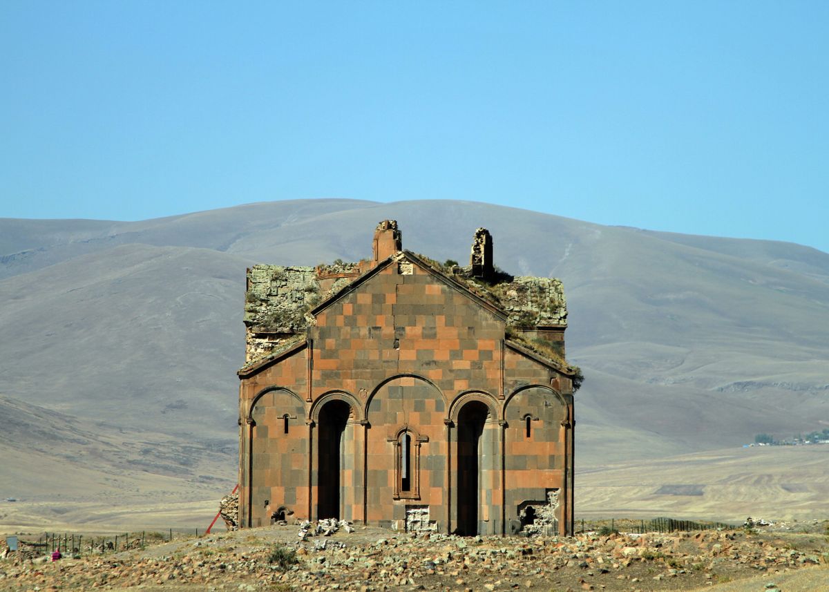 'Ani' Poster, picture, metal print, paint by Dominic Dudley | Displate