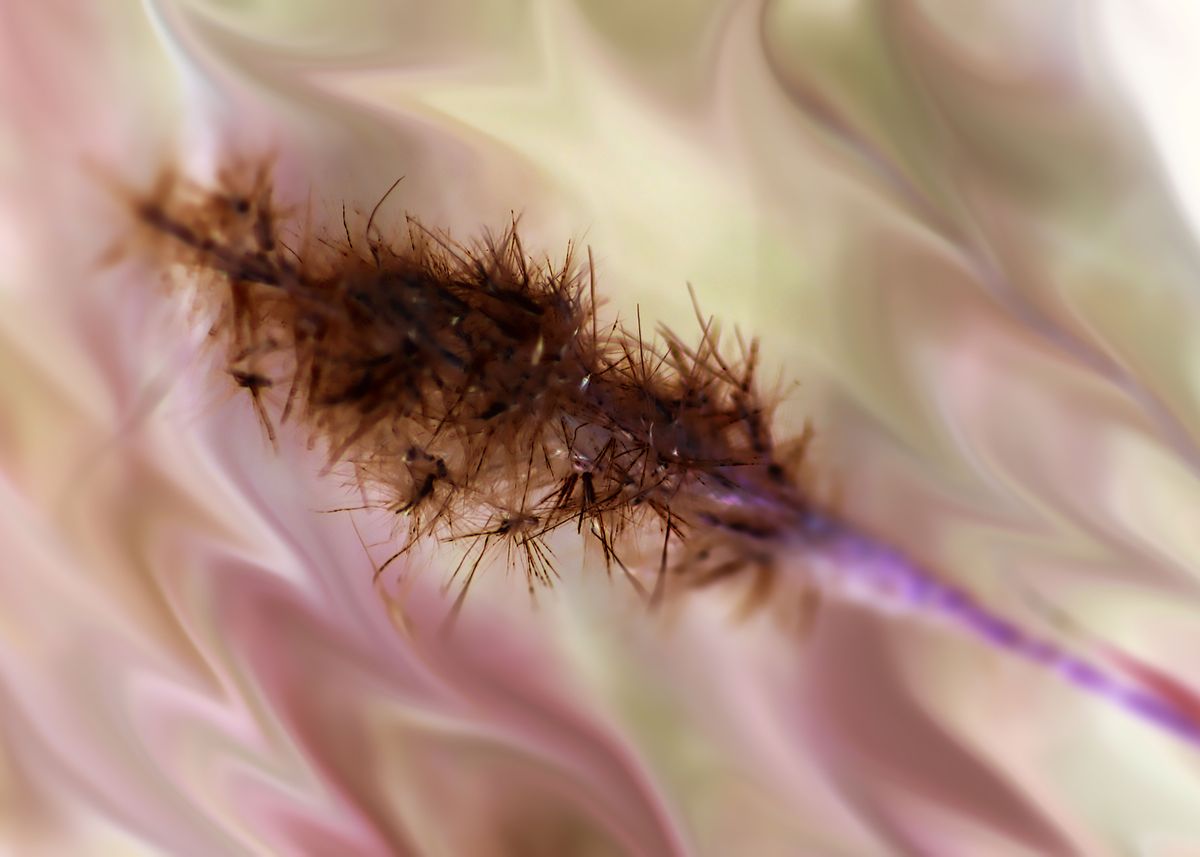 'Astral Seeds' Poster, picture, metal print, paint by Billy Mitchell | Displate