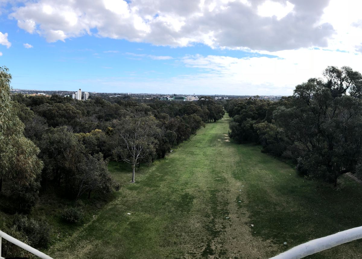 'The Green Strip' Poster, picture, metal print, paint by Nicholas Ruff ...