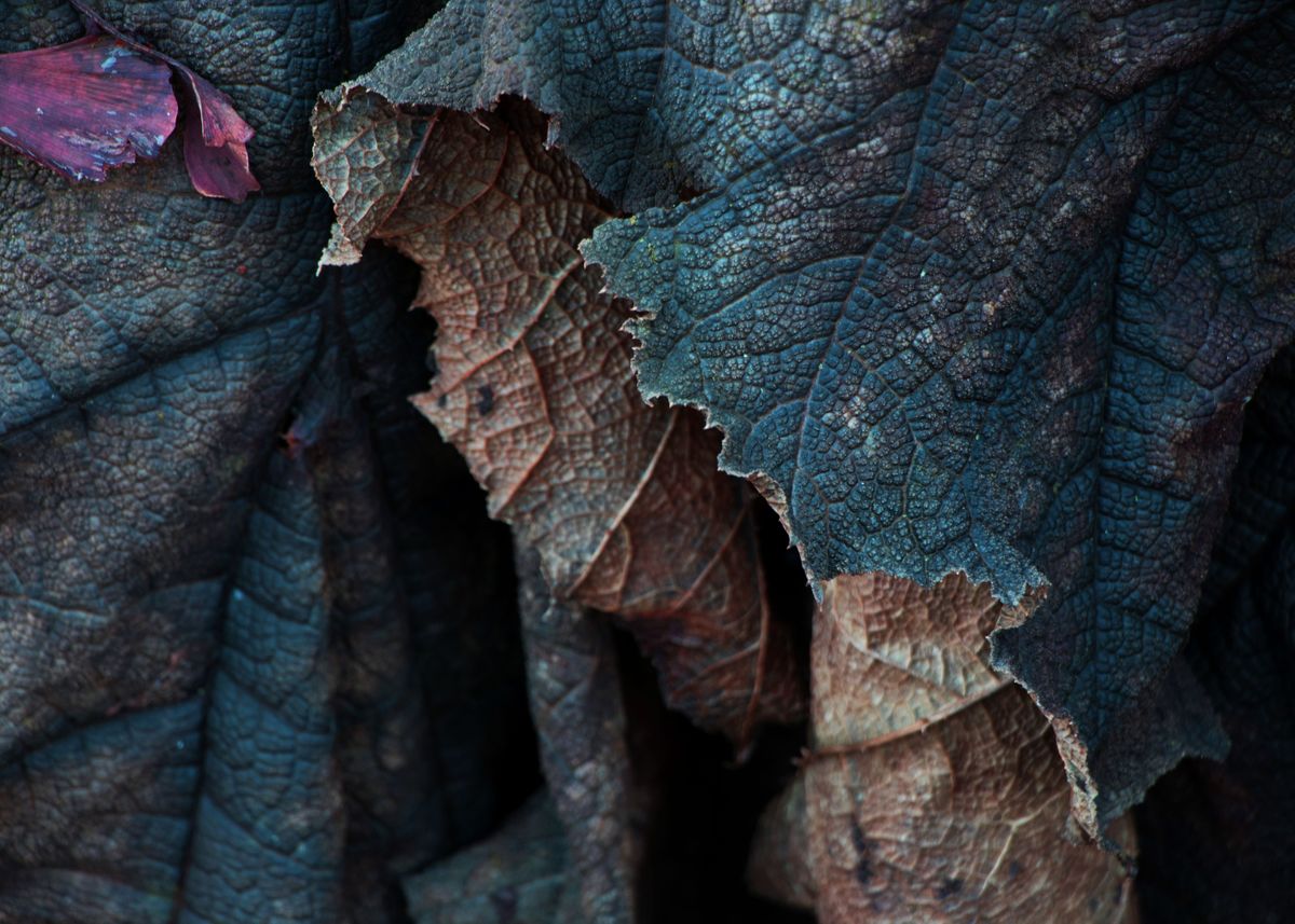 'Life continues ' Poster by Kyran Stephenson | Displate