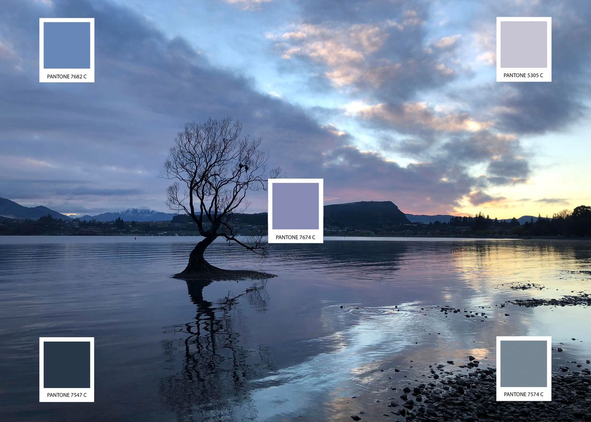 'Wanaka Tree, Wanaka NZ' Poster, picture, metal print, paint by Diego ...