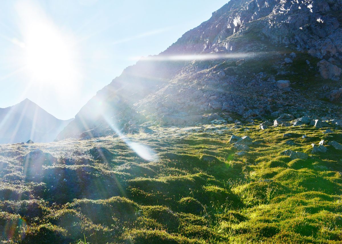 'Chugach Light' Poster, picture, metal print, paint by Emily Creely ...