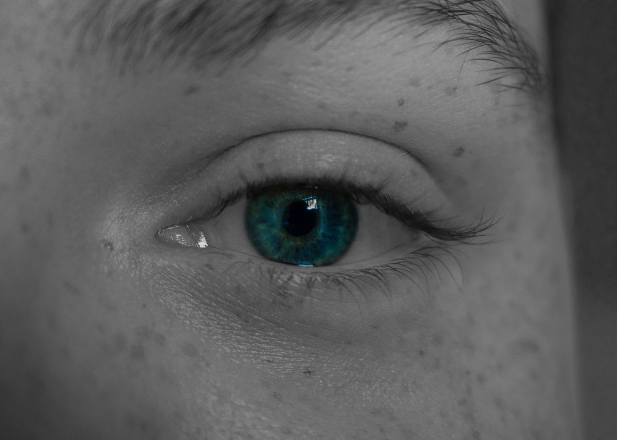 'The eye of Sam' Poster, picture, metal print, paint by Calum Burns ...