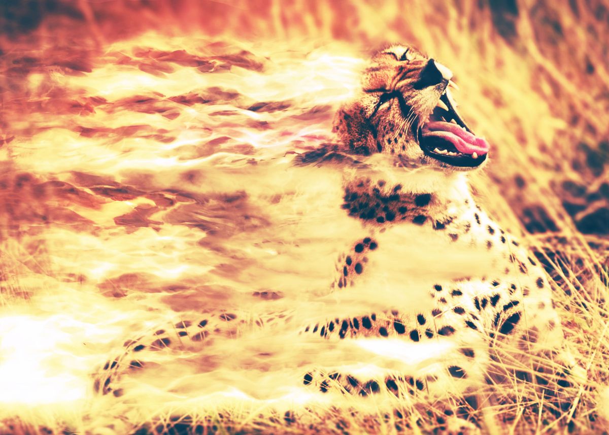 'burning cheetah' Poster, picture, metal print, paint by Gab Fernando ...