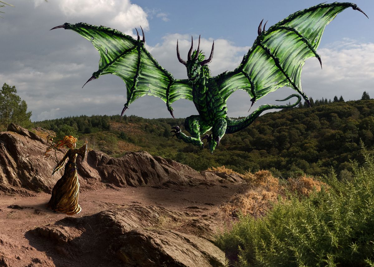'Morgane et son dragon' Poster, picture, metal print, paint by Galerie ...