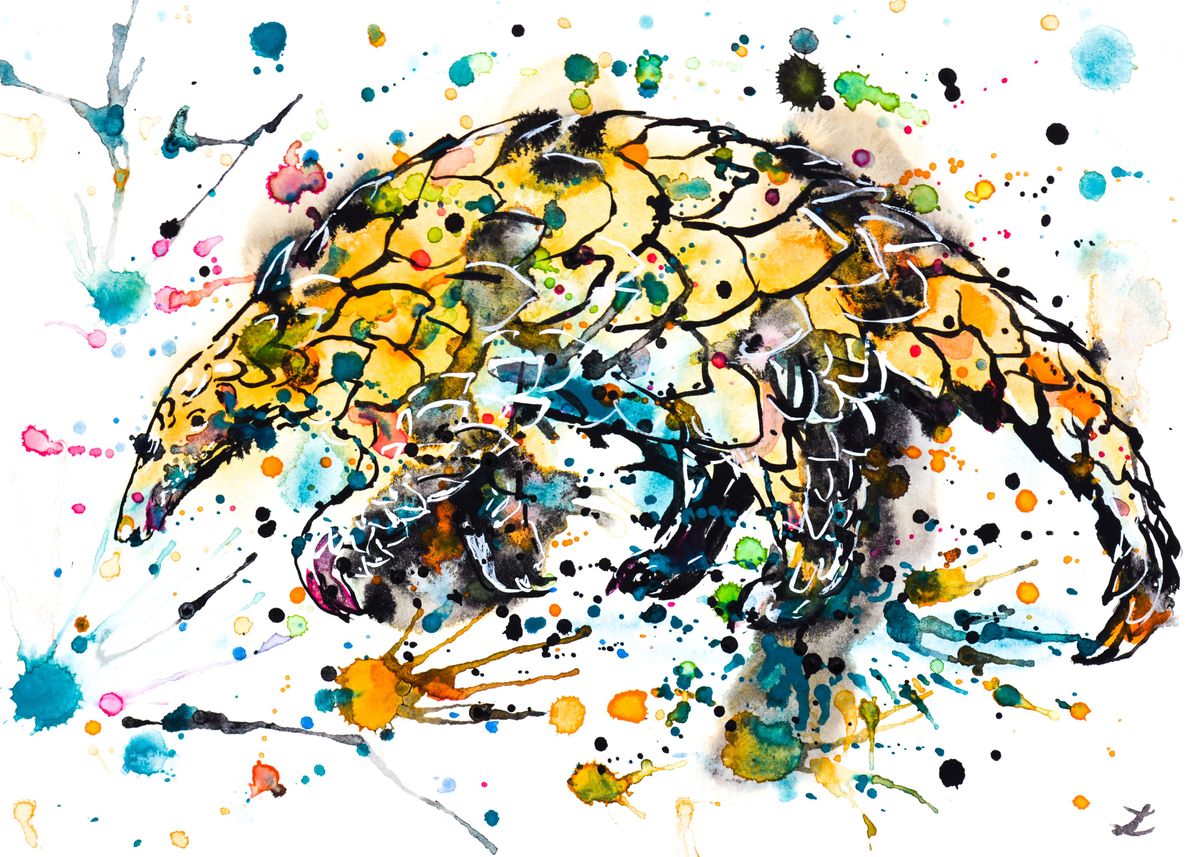 'Pangolin ' Poster by Zaira Dzhaubaeva | Displate