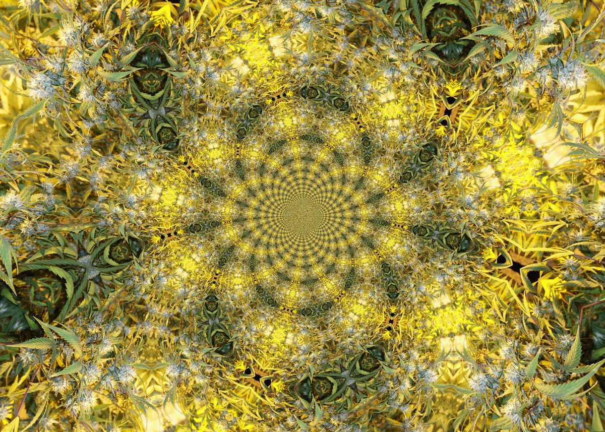 'Fractal TheCannabis Vortex' Poster by luis rafael perez sanchez | Displate