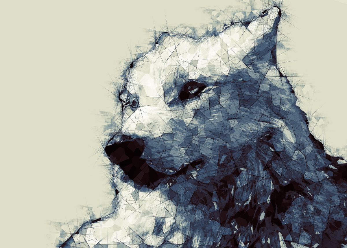 'Wolf' Poster, picture, metal print, paint by 4T4 Design Studio | Displate
