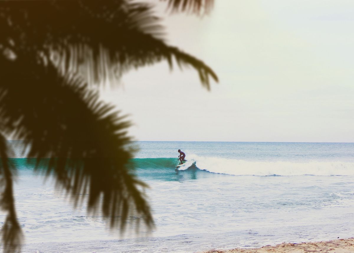 'Summer Surf' Poster, picture, metal print, paint by Gal Design | Displate