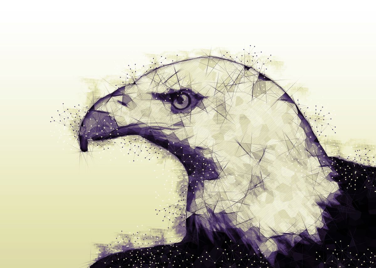 'Bald Eagle' Poster by 4T4 Design Studio | Displate