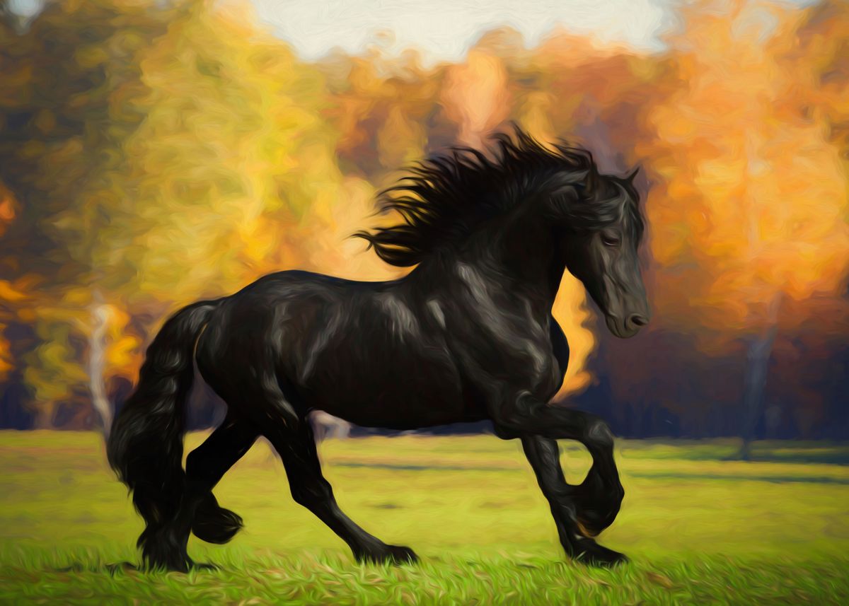 'Friesian horse' Poster, picture, metal print, paint by Martin Zdrahal ...