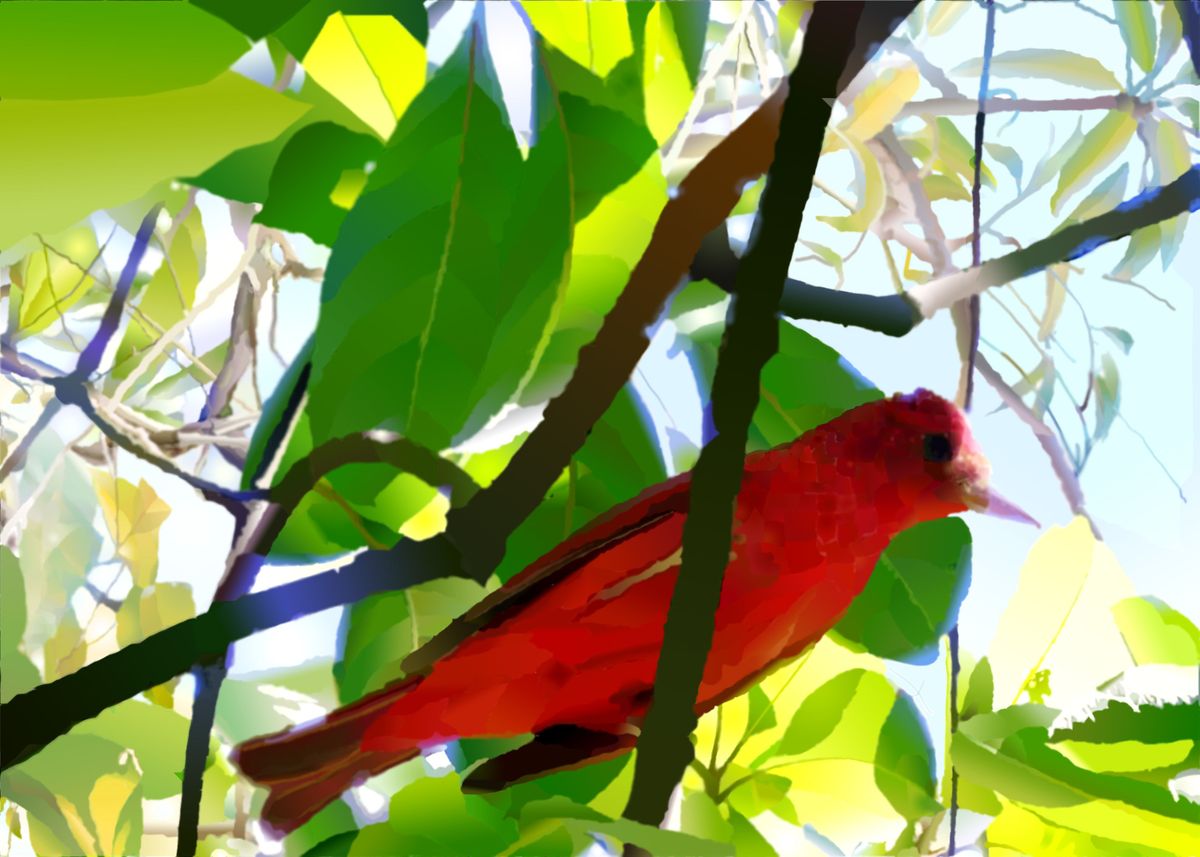 'Summer Tanager' Poster, picture, metal print, paint by Norma Centeno ...