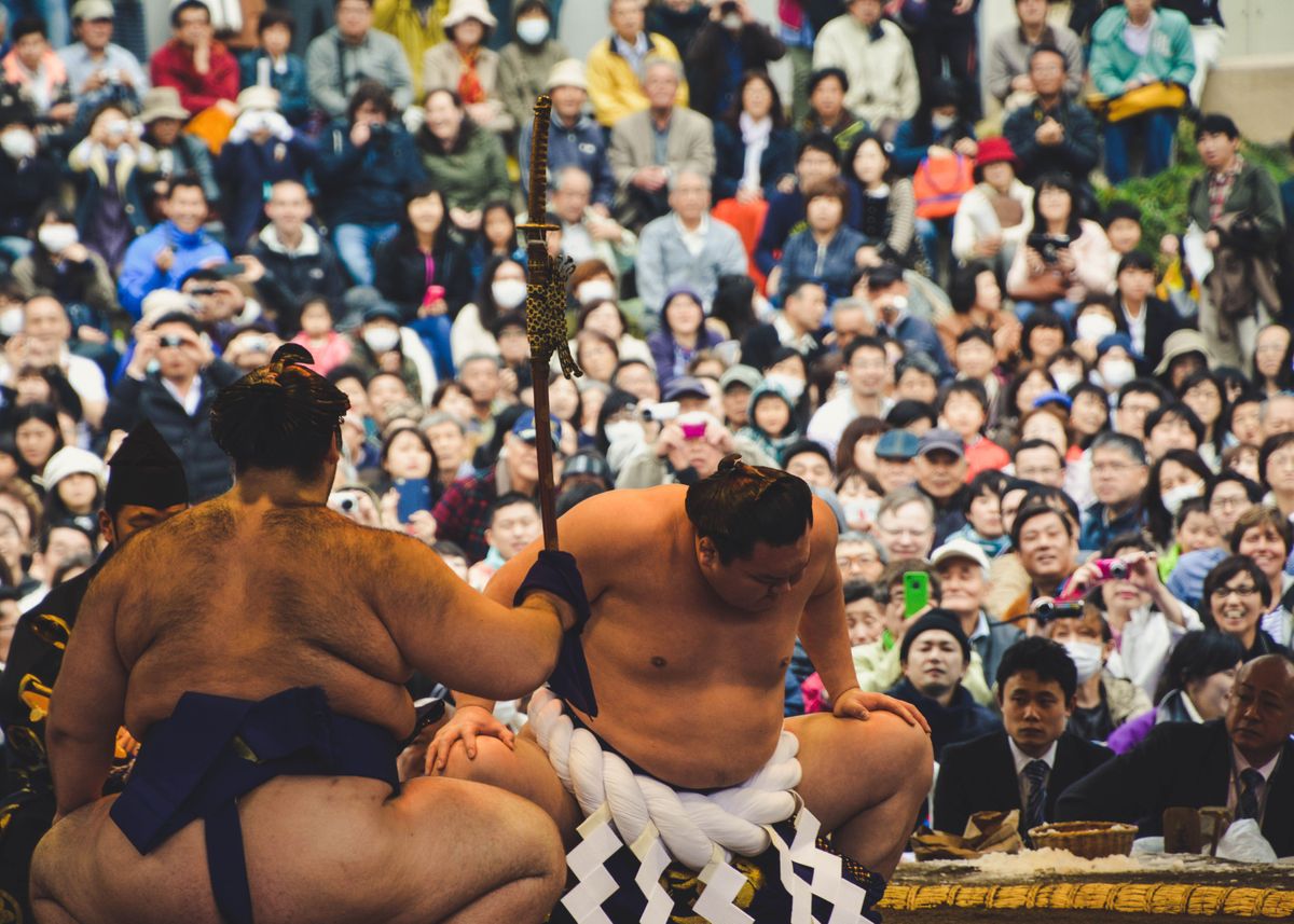 'Japanese Sumo Ceremony ' Poster, picture, metal print, paint by Hidemi ...