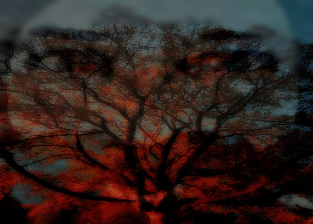 'Everything is Red' Poster by David Wootton | Displate