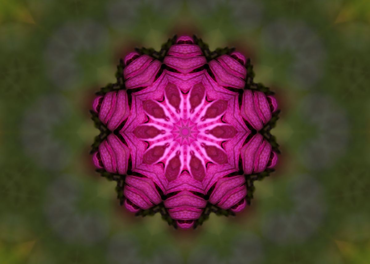 'Power of wildness' Poster, picture, metal print, paint by OLSO N ...