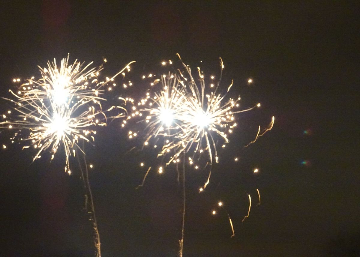 'Firework Flowers' Poster by Daniel Slack | Displate