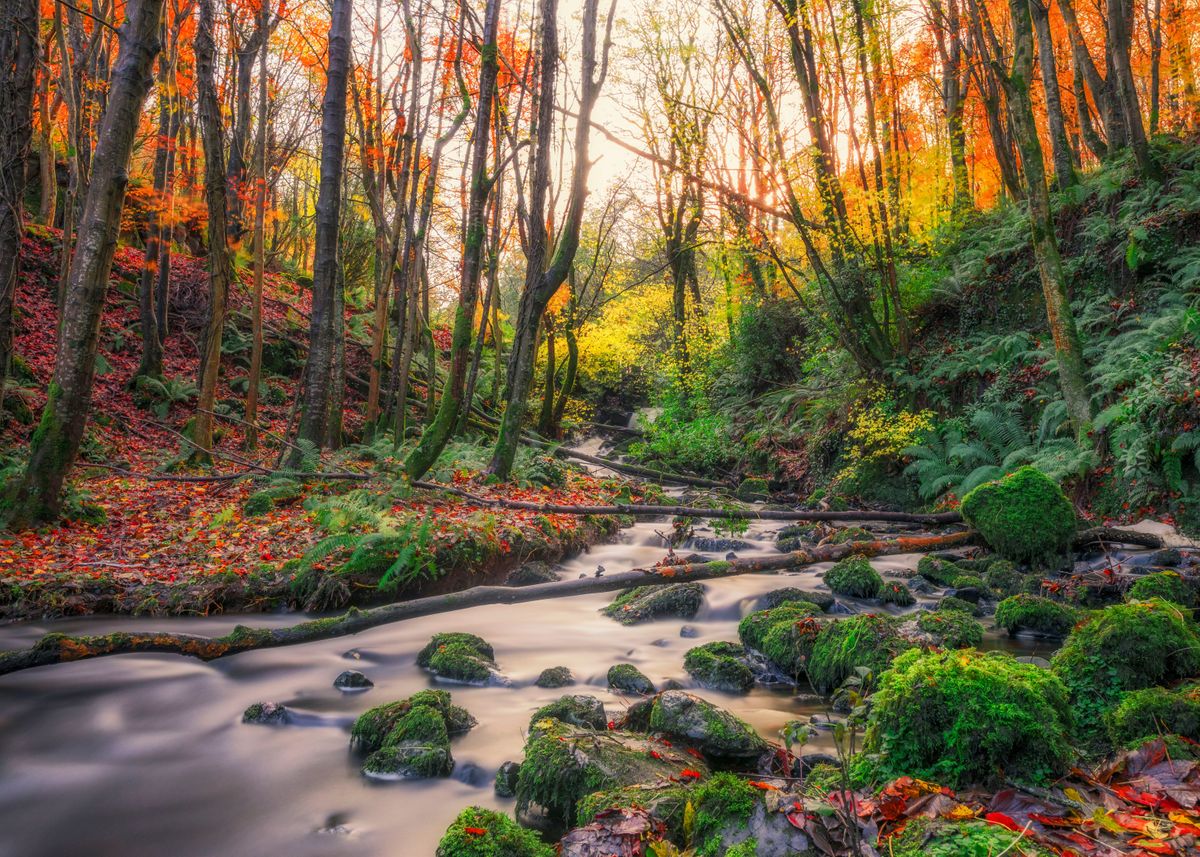 'Autumn Stream ' Poster, picture, metal print, paint by Roy McPEAK | Displate