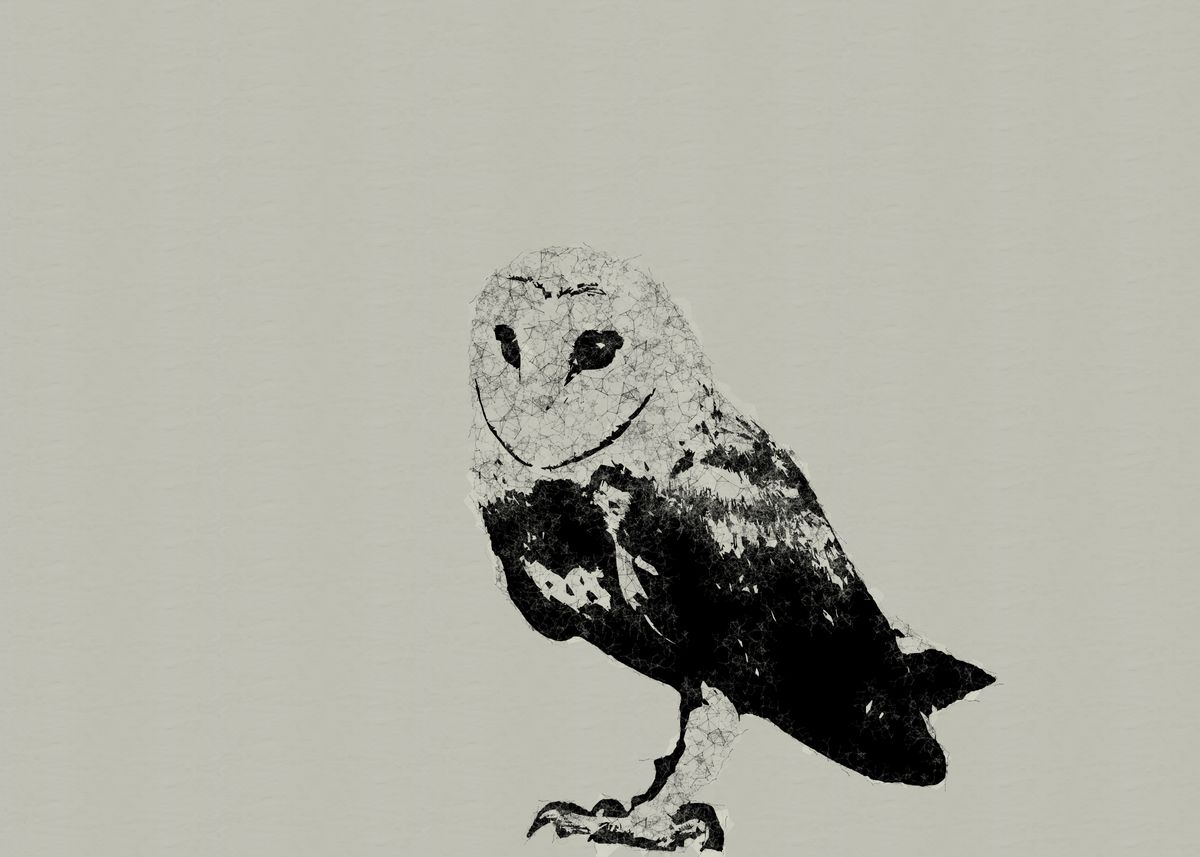 'Cute Owl' Poster, picture, metal print, paint by 4T4 Design Studio ...