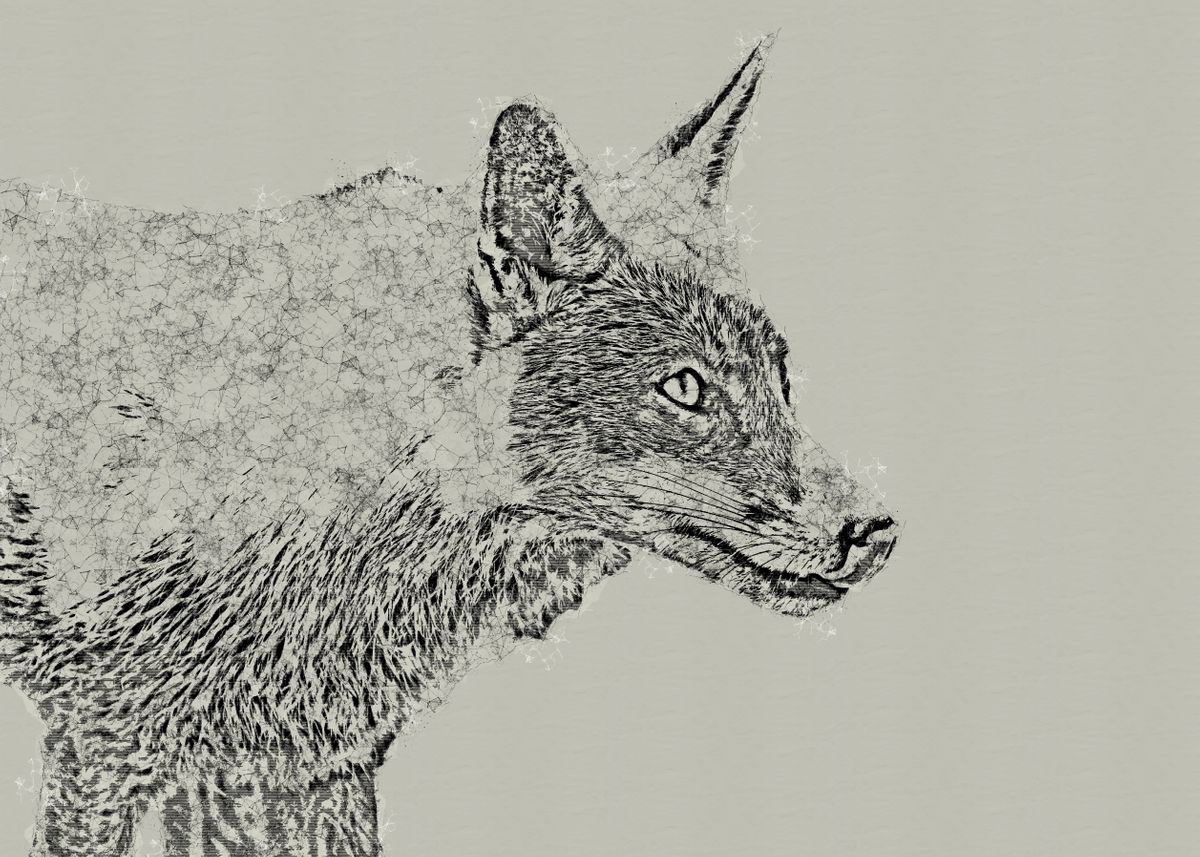 'Fox' Poster, picture, metal print, paint by 4T4 Design Studio | Displate