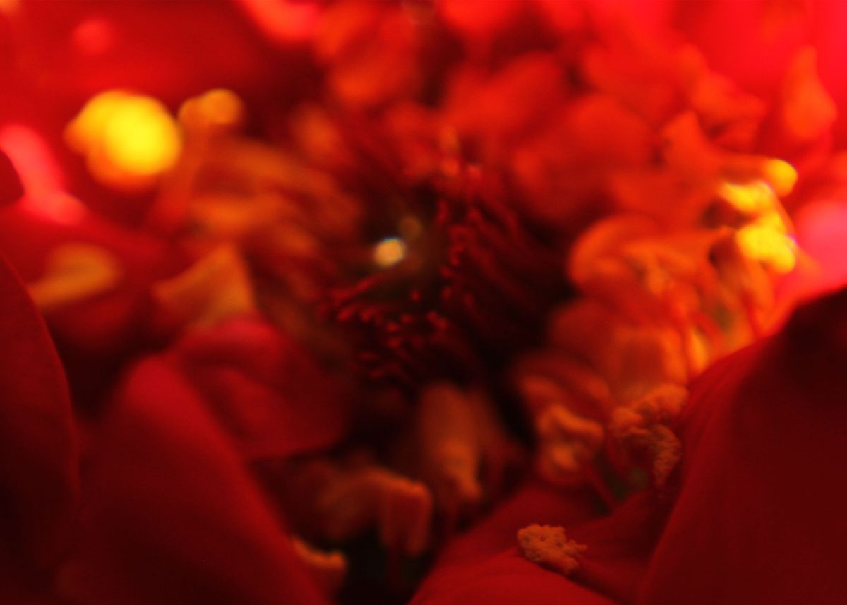 'Red Subject' Poster, picture, metal print, paint by Namal Fernando ...