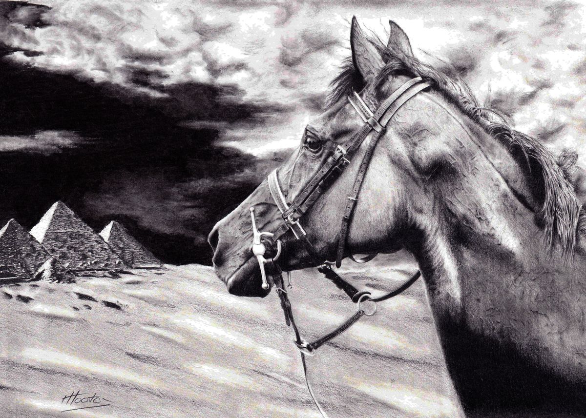 'Trip to Khairo' Poster, picture, metal print, paint by Hannah Hooton ...