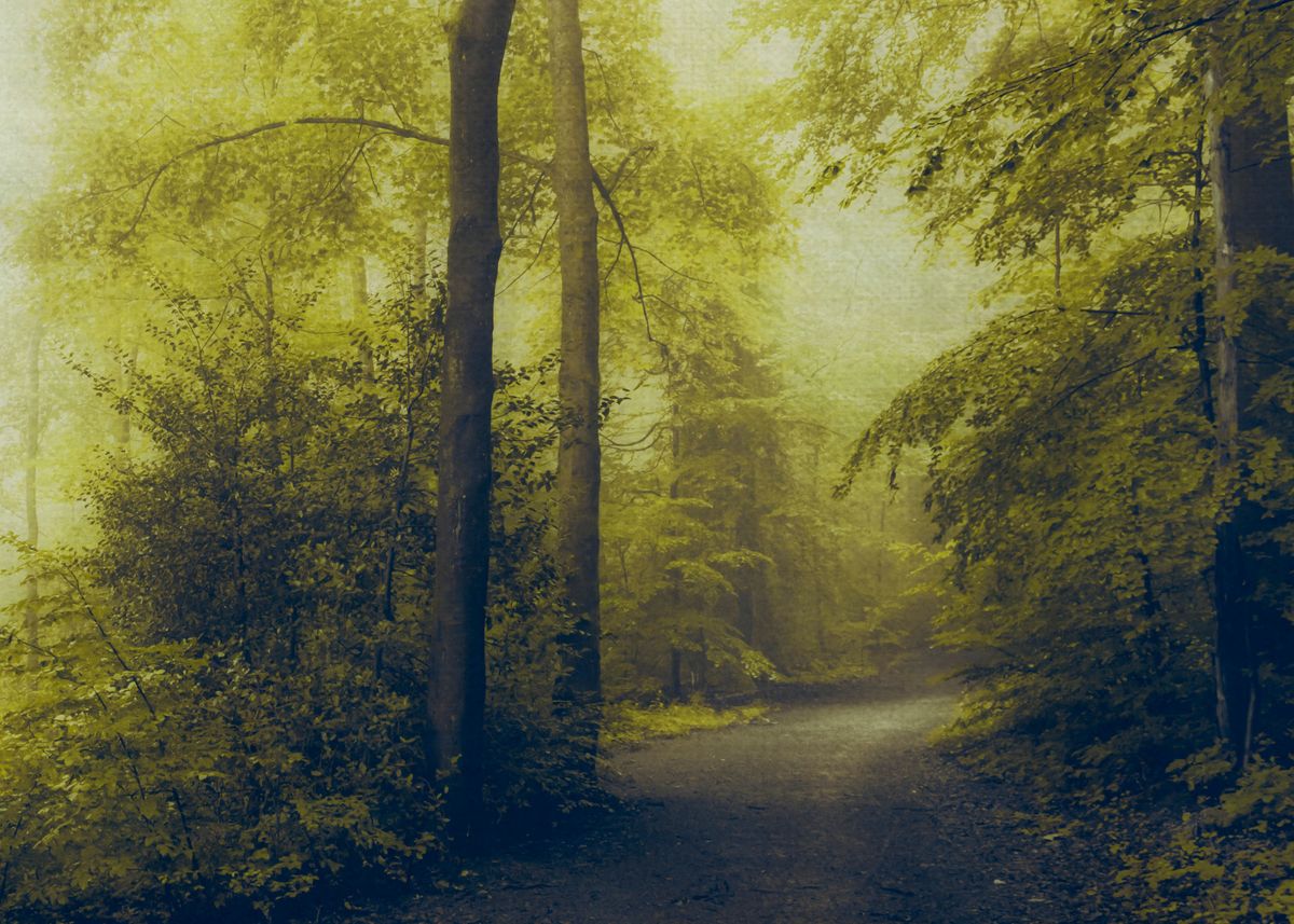 'forest walk' Poster, picture, metal print, paint by Dirk Wüstenhagen ...