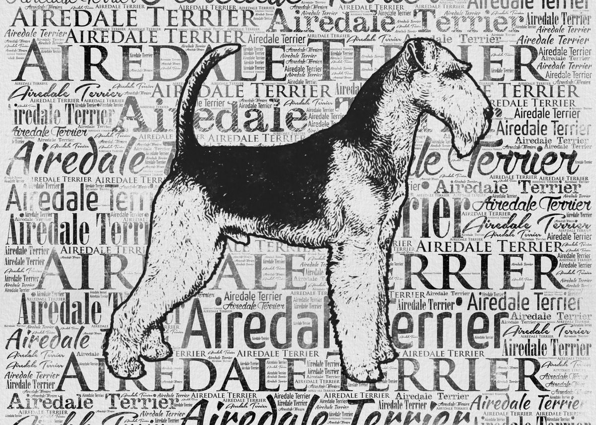 'Airedale Terrier' Poster by Lioudmila Perry | Displate