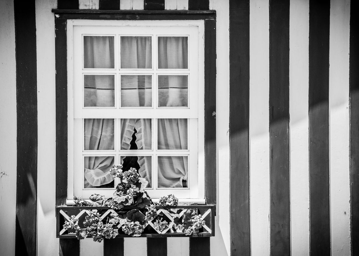 'Closed Window' Poster, picture, metal print, paint by Sofia Alves ...