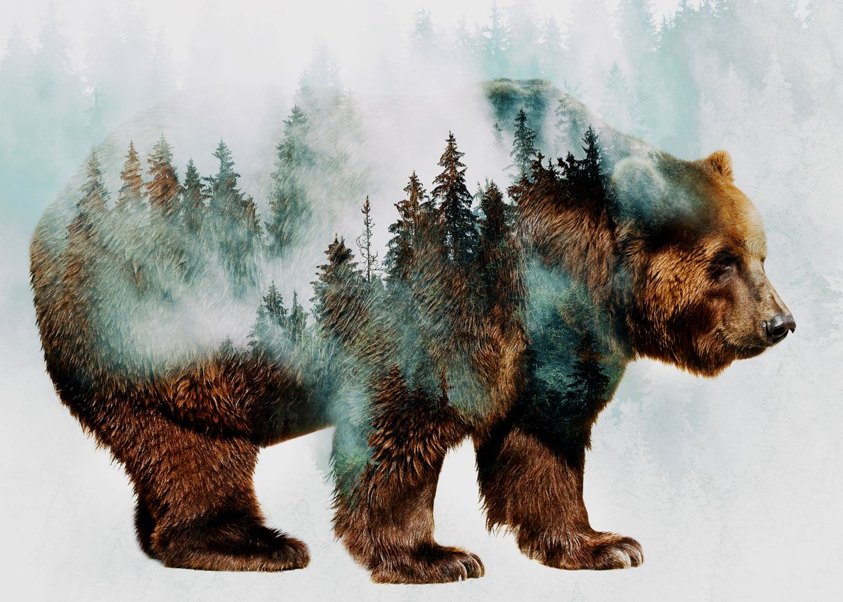 'Bear 4' Poster, picture, metal print, paint by Mateusz Ślemp | Displate