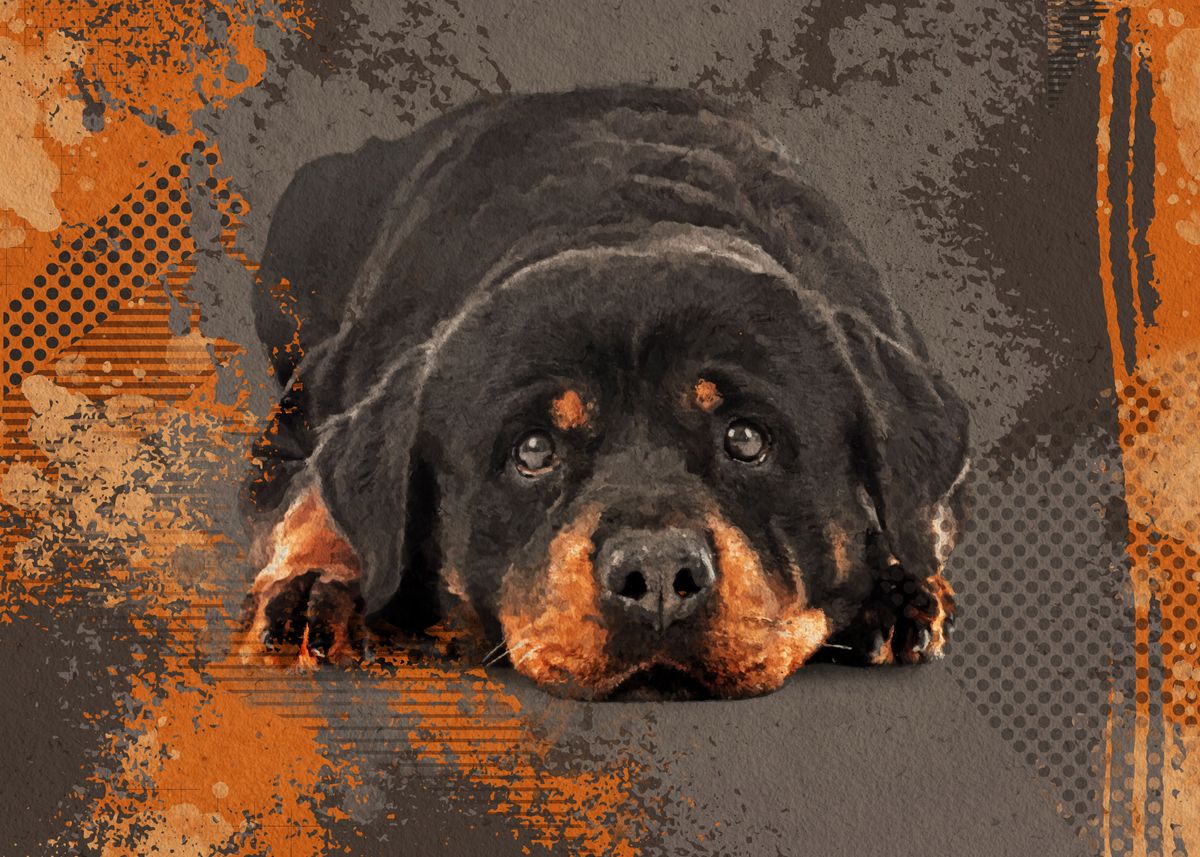'Cute Rottweiler ' Poster, picture, metal print, paint by Lioudmila ...