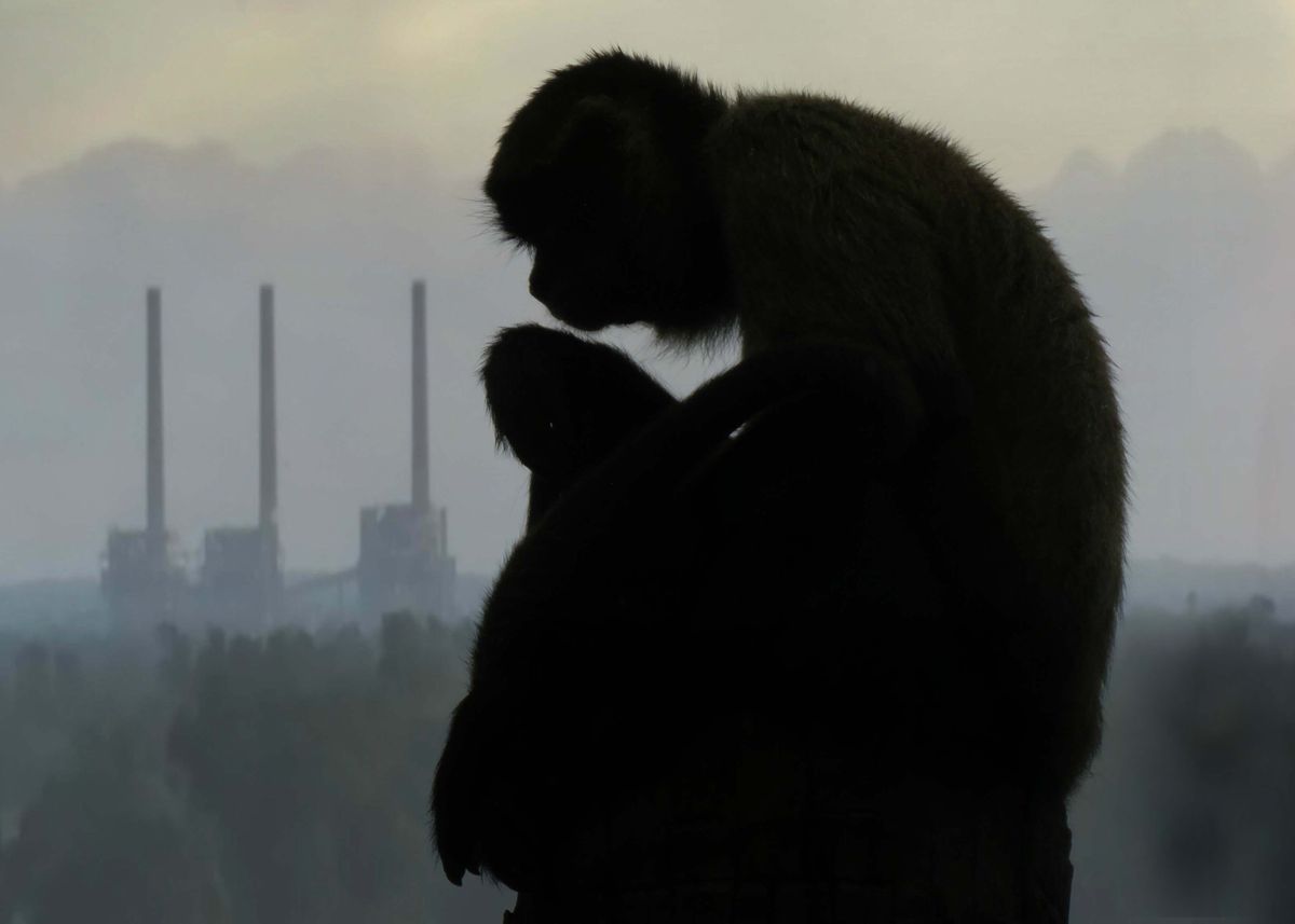 'Urban Life' Poster by Melanie Kowasic | Displate