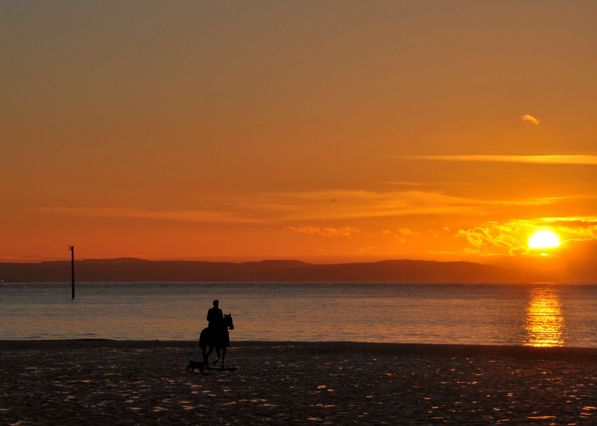 'a ride into the sunset' Poster by sue davies | Displate