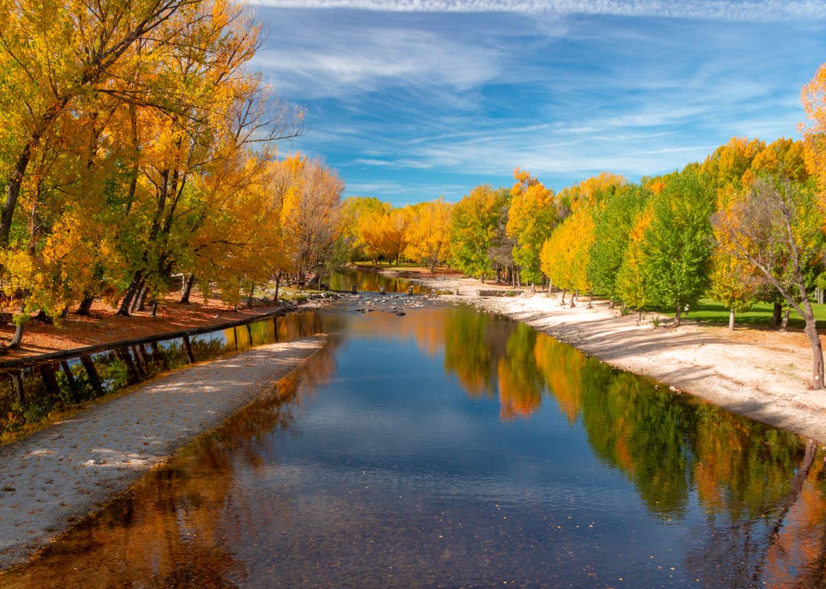 'Autumn in Avila' Poster, picture, metal print, paint by Berta Mallenco ...