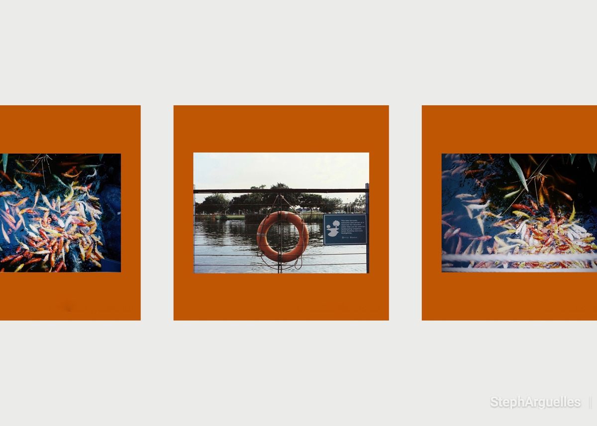 'Crowded' Poster by Stephanie Arguelles | Displate