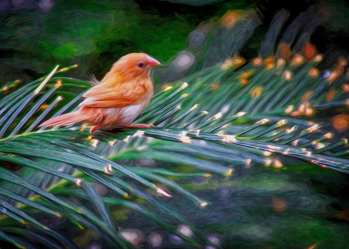 'Finch on a Fern' Poster by Joyce Steele | Displate