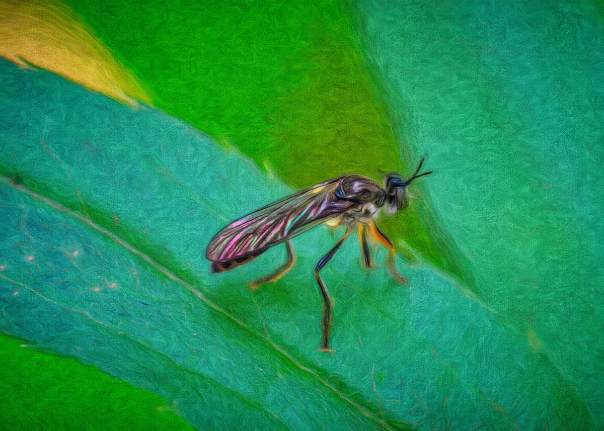 'Rainbow Wings' Poster by Joyce Steele | Displate