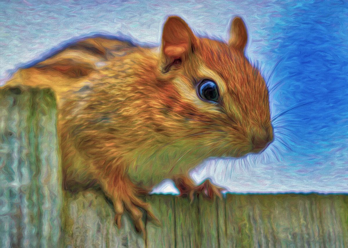 'Chippy on a Fence' Poster, picture, metal print, paint by Joyce Steele ...