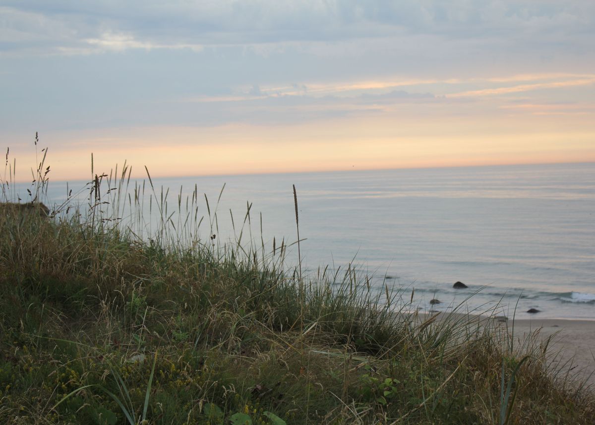 'Dunes' Poster, picture, metal print, paint by Rick Groot | Displate