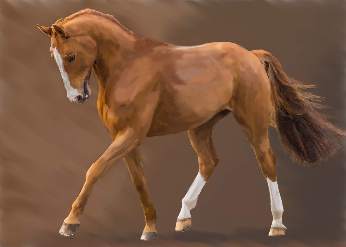 'Bay Stallion Horse' Poster by Rolf Stenberg | Displate