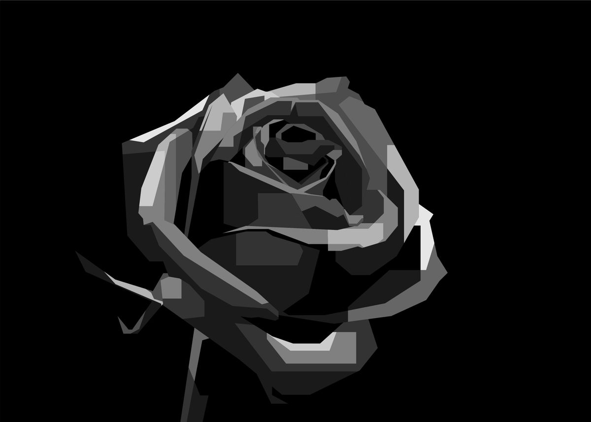 'Roses BW' Poster, picture, metal print, paint by ilhan deviska | Displate