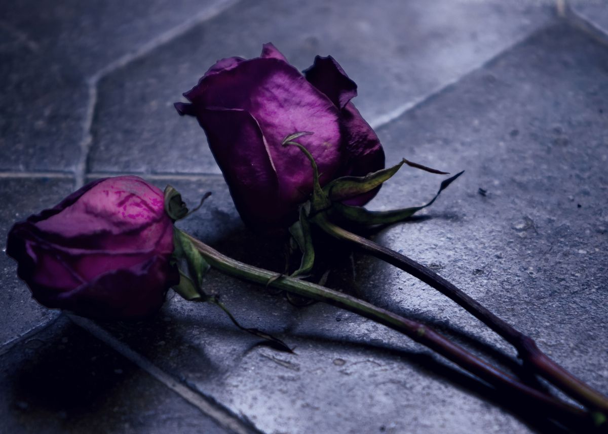 'resem5' Poster, picture, metal print, paint by Daniel Azocar | Displate