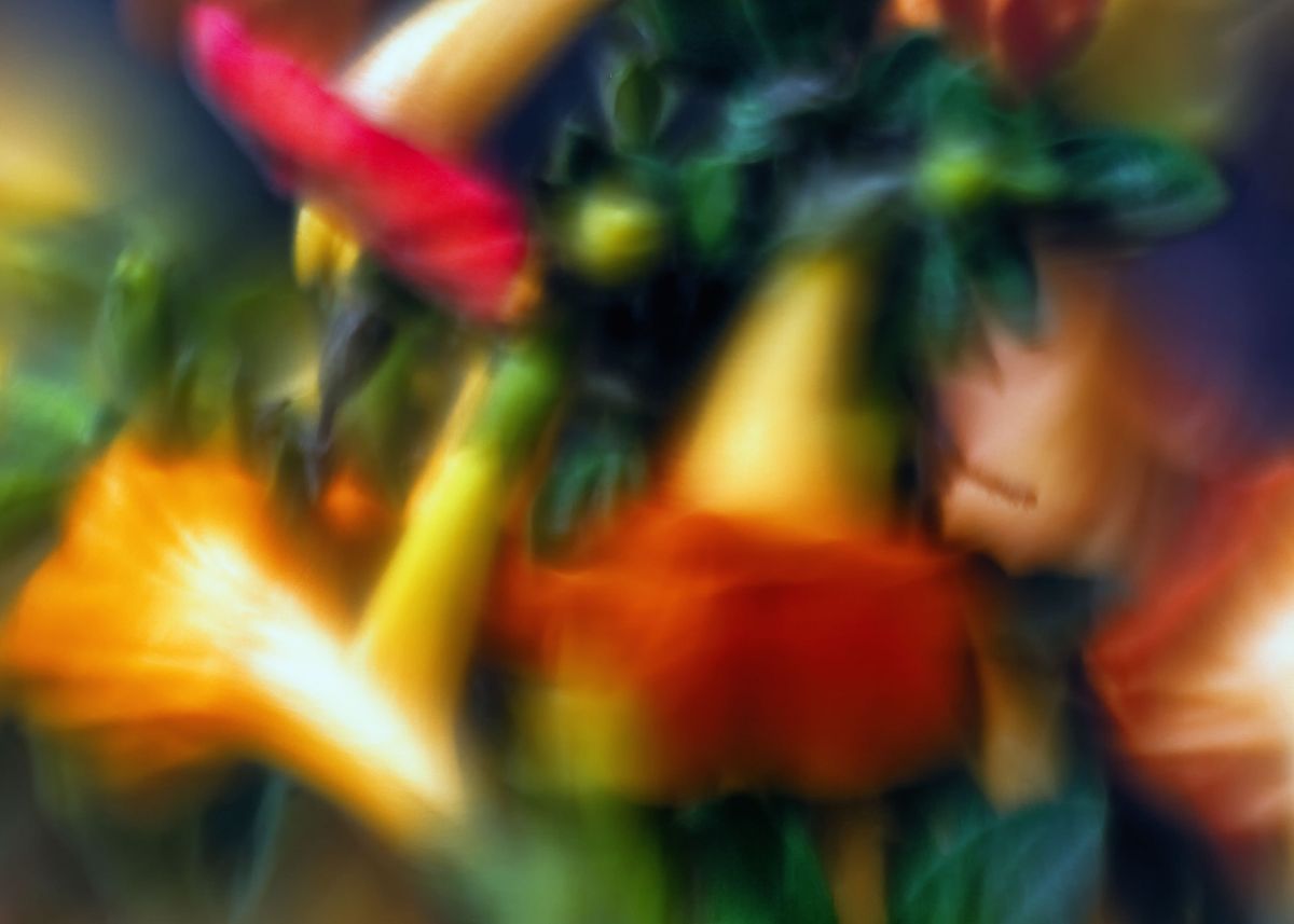 'flowersbaby1' Poster, picture, metal print, paint by Daniel Azocar ...