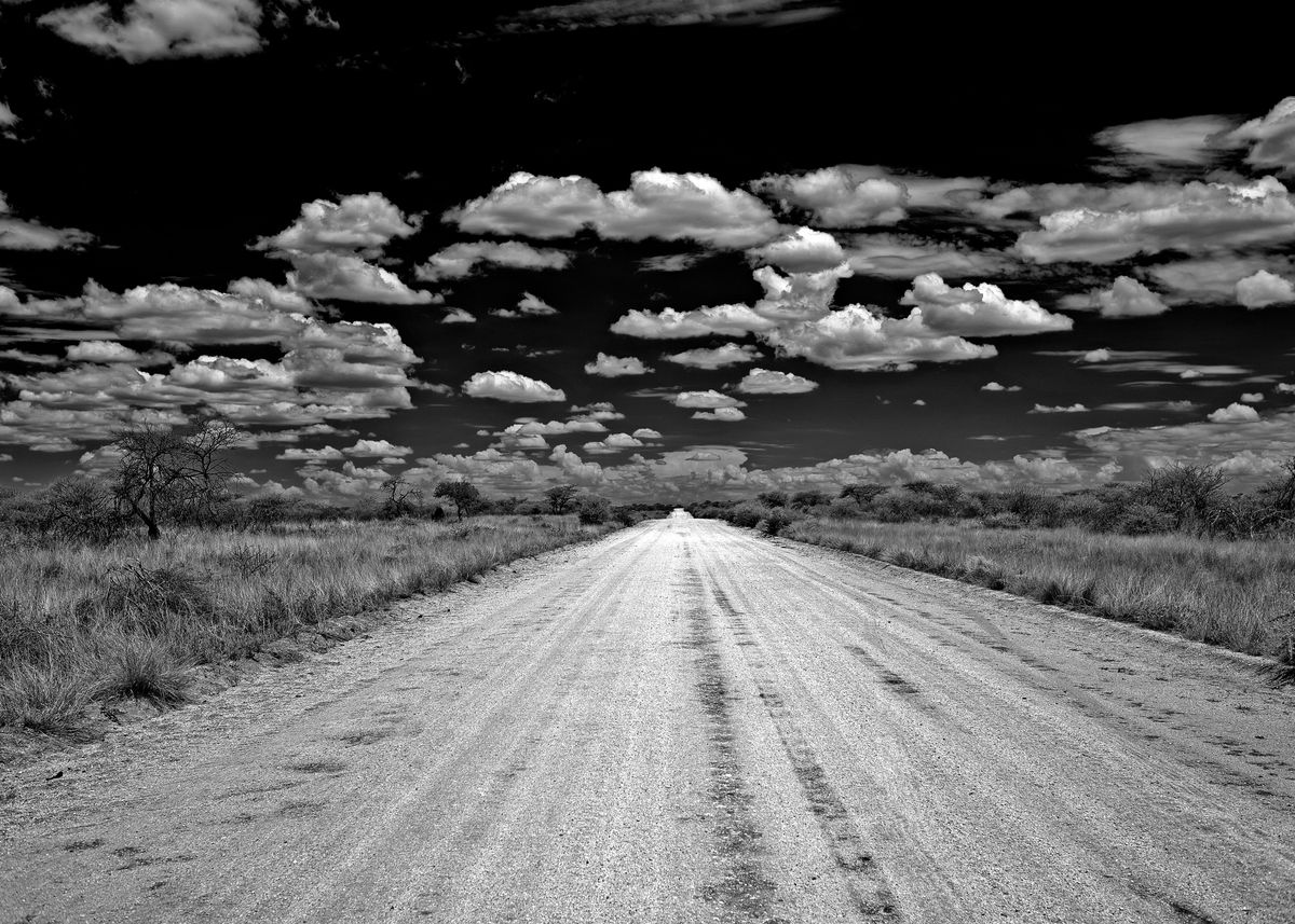 'Song of the Open Road' Poster by The Memory Hunter | Displate