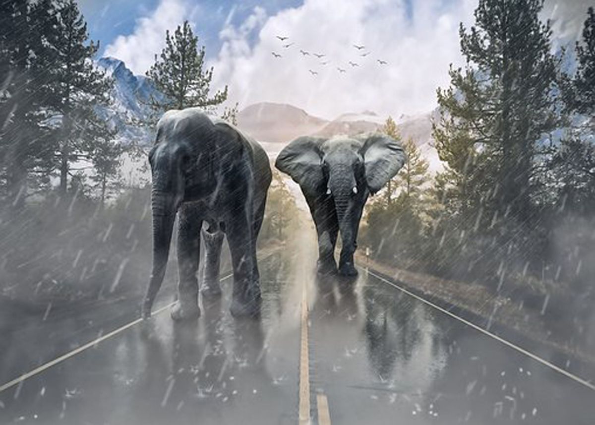 'Elephants' Poster by sophia pham | Displate