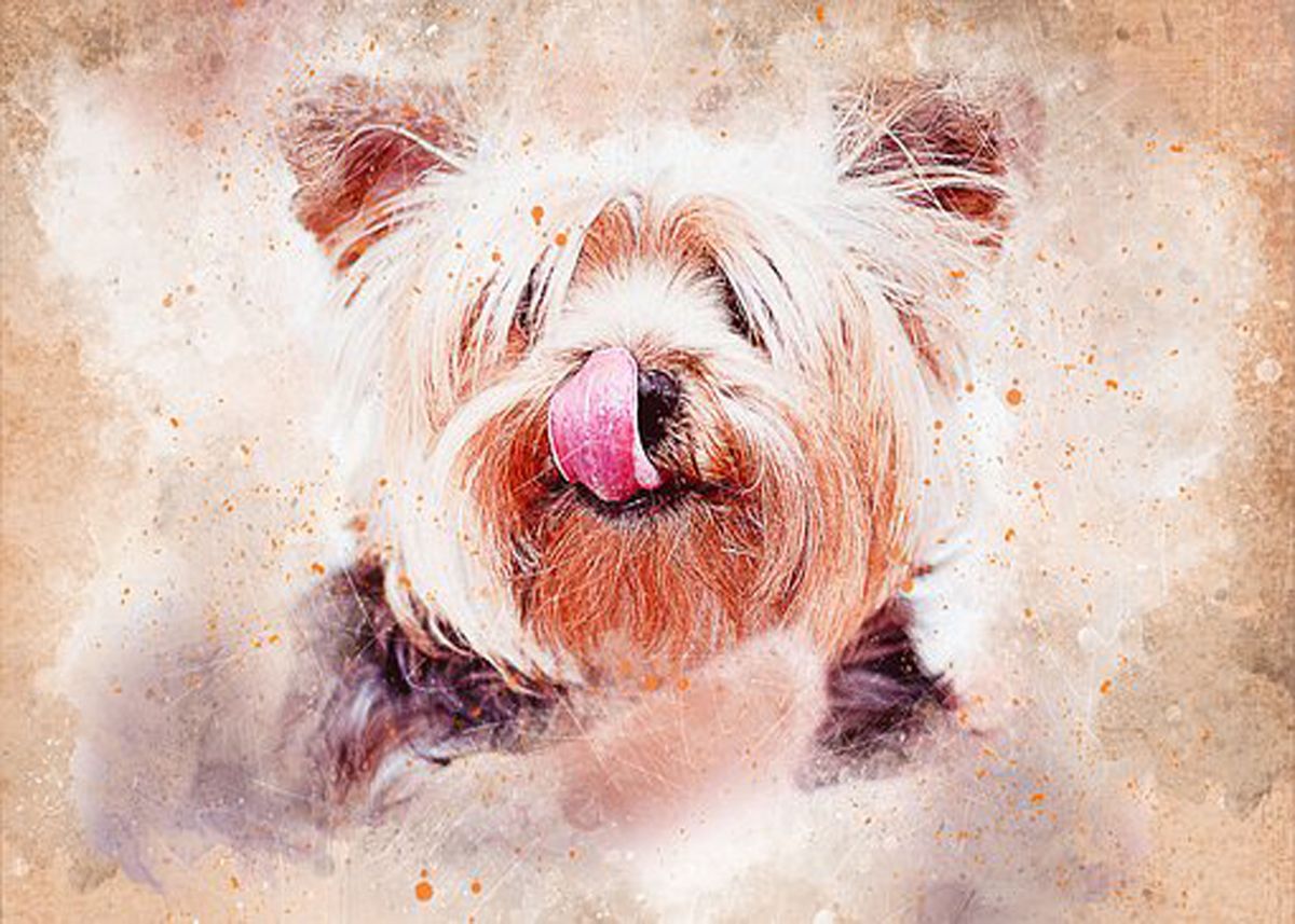 'My Dog' Poster, picture, metal print, paint by sophia pham | Displate