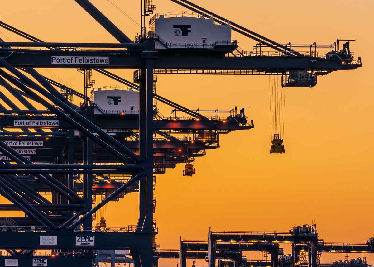 'Cranes' Poster by Svetlana Sewell | Displate